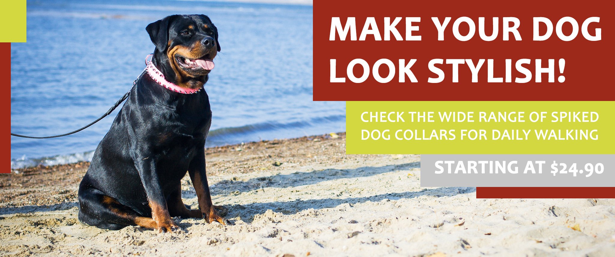 Rottweiler dog harness, Rottweiler dog muzzle, Rottweiler dog collar ...